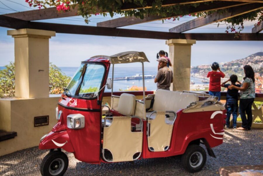 Funchal: Best Viewpoints Guided Tuk Tuk Tour - Deep Dive into the Highlights