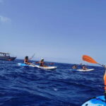 Funchal Boat trip with Kayak Experience - Detailed Breakdown of the Tour