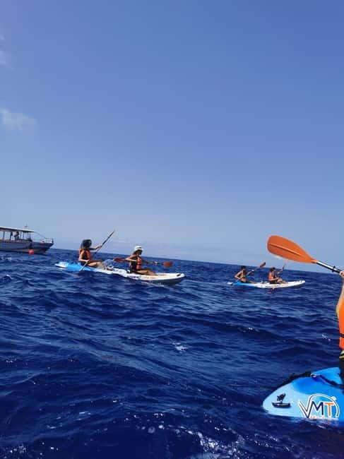 Funchal Boat trip with Kayak Experience - Detailed Breakdown of the Tour