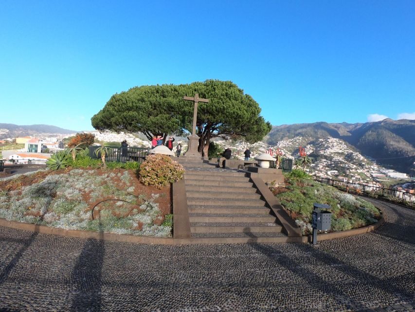 Funchal: Cabo Girão, Wines Tasting and Dolphins Watching - The Transportation and Group Size