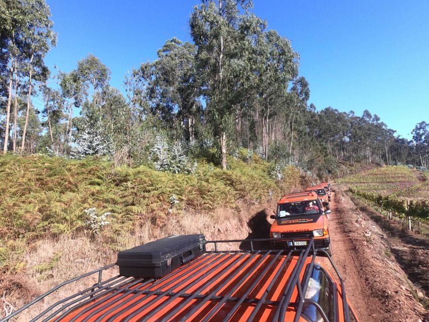 Funchal: Câmara Lobos & Girão Sea Cliff Half-Day Jeep Tour - What’s Included & Exclusions