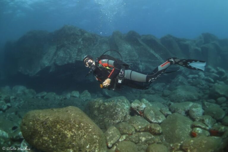 Funchal: Certified Scuba Diving, Guided Tour - Who Will Love This Experience?