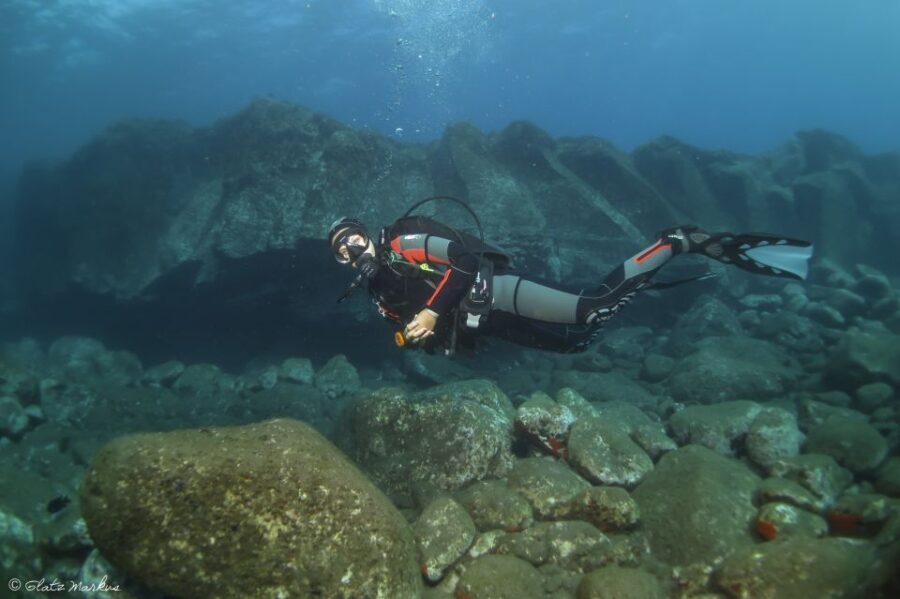 Funchal: Certified Scuba Diving, Guided Tour - Who Will Love This Experience?