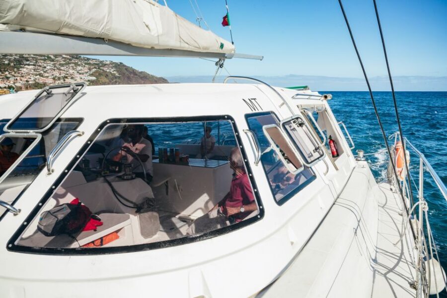 Funchal: Dolphin and Whale Watching by Luxury Catamaran - Why This Tour Offers Good Value
