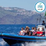 Funchal: Dolphin and Whale Watching Cruise - In-Depth Look at the Itinerary