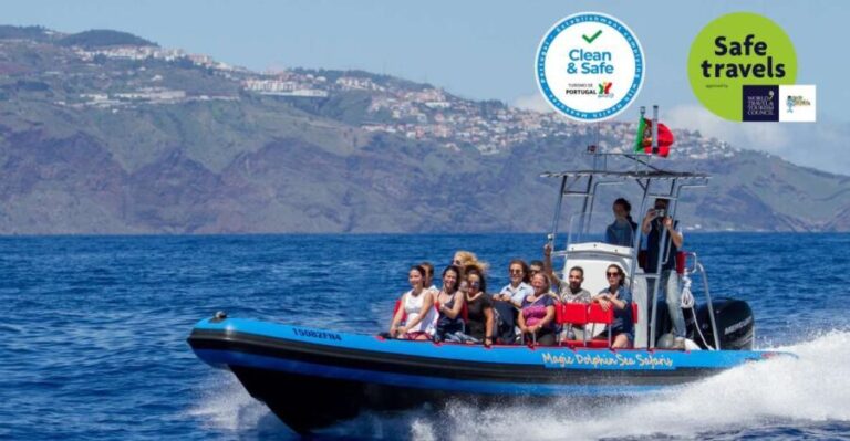 Funchal: Dolphin and Whale Watching Cruise - In-Depth Look at the Itinerary