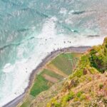 Funchal: Dolphin and Whale Watching Sailing Trip - The Experience: From Departure to Return