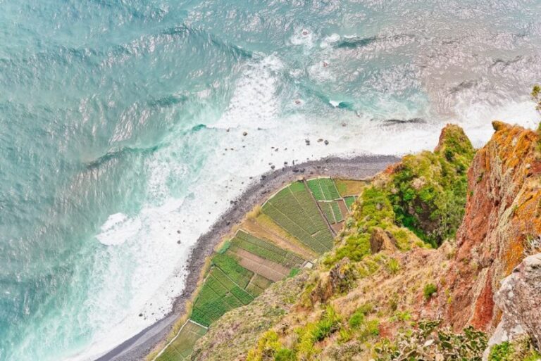 Funchal: Dolphin and Whale Watching Sailing Trip - The Experience: From Departure to Return
