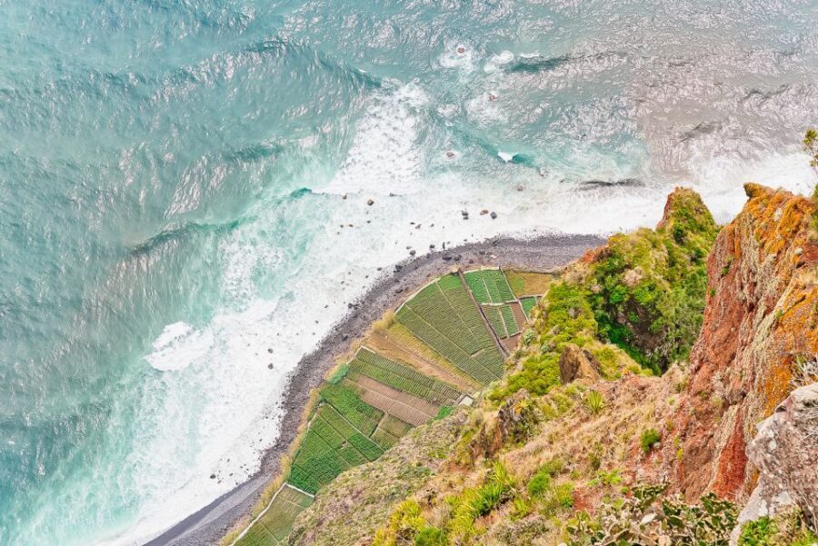 Funchal: Dolphin and Whale Watching Sailing Trip - The Experience: From Departure to Return