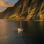 Funchal: Dolphin and Whale Watching Sunset Sailing Tour - The Experience Through the Eyes of Travelers