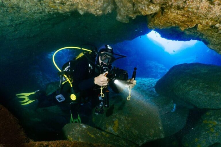 Funchal: Garajau national park - certified divers - Who Is This Tour Best For?