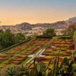 Funchal: Guided Old Town Tuk Tuk Tour and Botanical Gardens - Exploring the Itinerary