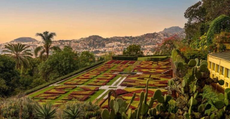Funchal: Guided Old Town Tuk Tuk Tour and Botanical Gardens - Exploring the Itinerary