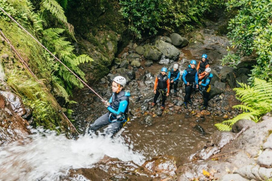 Funchal: Half-Day Beginner-Friendly Canyoning Experience - What to Expect from the Tour