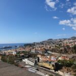 Funchal: Madeira Botanical Garden Private Tuk-Tuk Tour - What Makes the Madeira Botanical Garden Tour Stand Out?
