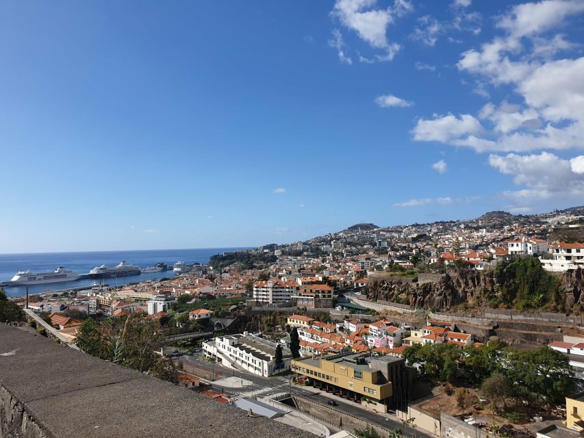 Funchal: Madeira Botanical Garden Private Tuk-Tuk Tour - What Makes the Madeira Botanical Garden Tour Stand Out?