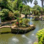 Funchal: Monte Palace Tropical Gardens Tuk Tuk Tour - The Practicalities