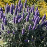 Funchal: Nuns Valley Easy Walk with Mountain Surroundings - The Itinerary: What Makes Each Stop Special