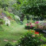 Funchal Old Town & Palheiro Gardens Private Tuk Tuk Tour - Authentic Experiences and Reviews