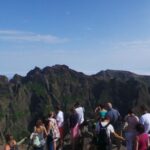 Funchal: Pico Arieiro, Cristo Rei and Dolphins Watching - What Makes This Tour Attractive? – Highlights explained