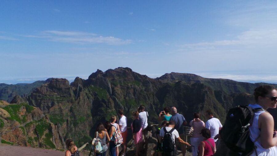 Funchal: Pico Arieiro, Cristo Rei and Dolphins Watching - What Makes This Tour Attractive? – Highlights explained