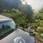 Funchal: Pico do Arieiro to Santana and Ponta de Sao Lorenco - Key Points