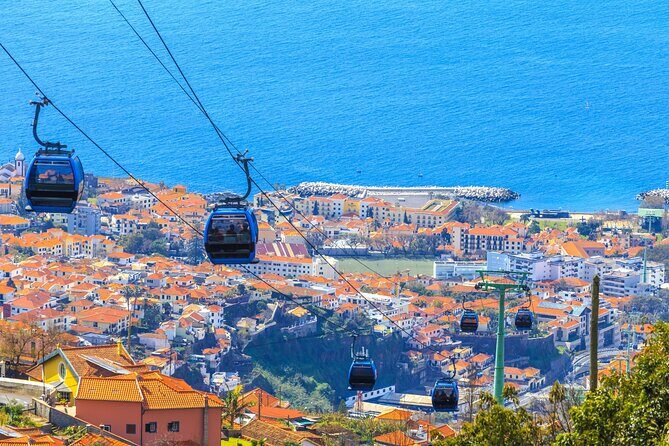 Funchal : Private Custom Walking Tour With A Guide (Private Tour) - Exploring Funchal’s Scenic Viewpoints