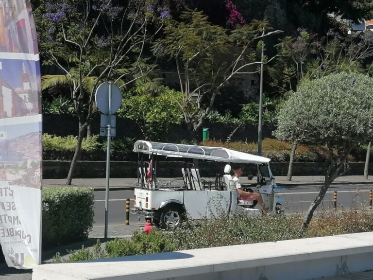 Funchal: Private Guided Tour of Historic Center by Tuk Tuk - Who Is This Tour Best For?