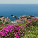 Funchal: Private Tuk-Tuk Tour to Cabo Girão Cliff - Skywalk - Whats Included and What to Know