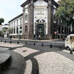Funchal: Quick & Fun 30-Minute Tuk Tuk Tour with Local Guide - Why You Might Love This Tour