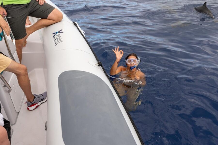 Funchal: RIB Whale Watching Cruise and Optional Dolphin Swim - The Voyage Along Madeira’s Coast