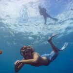 Funchal: Snorkeling Adventure in Eco-Park / Shore or by Boat - What’s Included and What’s Not