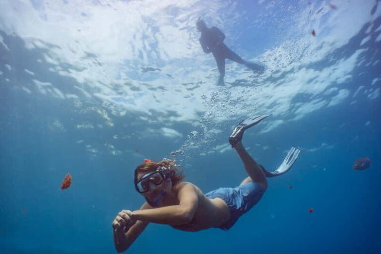 Funchal: Snorkeling Adventure in Eco-Park / Shore or by Boat - What’s Included and What’s Not