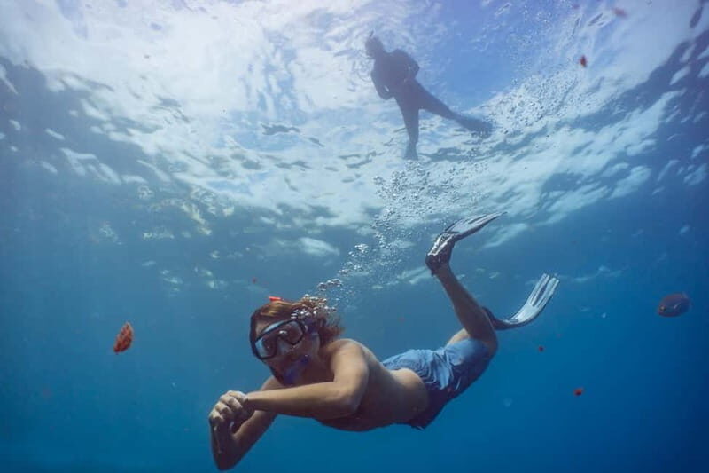 Funchal: Snorkeling Adventure in Eco-Park / Shore or by Boat - What’s Included and What’s Not
