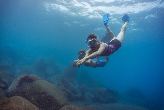 Funchal: Snorkeling Adventure in Eco-Park / Shore or by Boat - An Introduction to the Snorkeling Tour in Madeira’s Eco-Park
