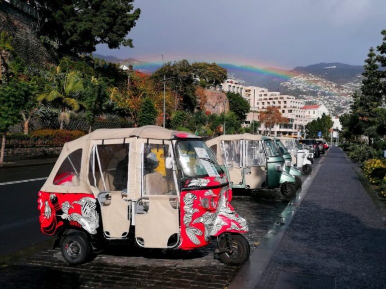 Funchal: Tuk Tuk Ride to Monte Funchal Toboggans - Who Will Love This Tour?