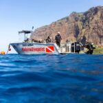 Funchal: Wreck dive F488 Frigate - certified divers - The Itinerary Breakdown: What Makes Each Step Special