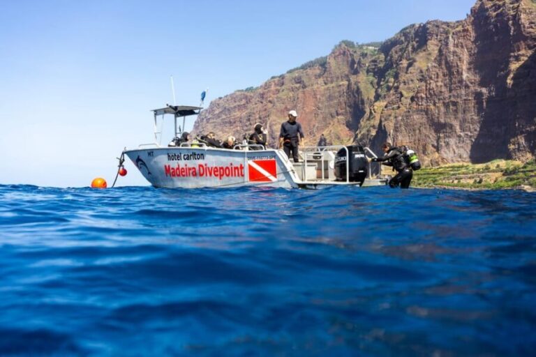 Funchal: Wreck dive F488 Frigate - certified divers - The Itinerary Breakdown: What Makes Each Step Special
