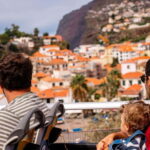 Funchal:Hop-on Hop-off Bus & Whale & Dolphin boat Excursion - What It Means for Travelers