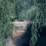 Furnas: Night-Time Experience with Thermal baths and Dinner - Who Should Consider This Tour?