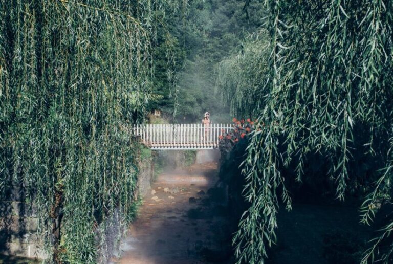 Furnas: Night-Time Experience with Thermal baths and Dinner - Who Should Consider This Tour?