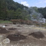 Furnas: Private Tour with Hike & Terra Nostra Hot Springs - The Heart of the Tour: Geothermal Cooking and Thermal Baths