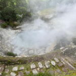 Furnas: Tea Plantation and Hot springs Tour - What to Bring and Consider