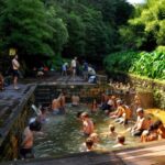 Furnas: Tea Plantations, Lake and Volcano Guided Tour - Visiting Gorreana Tea Plantation: Europes Oldest Tea Garden