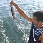 Fuzeta: 2.5-Hour Sport Fishing Tour - A Close Look at the Experience