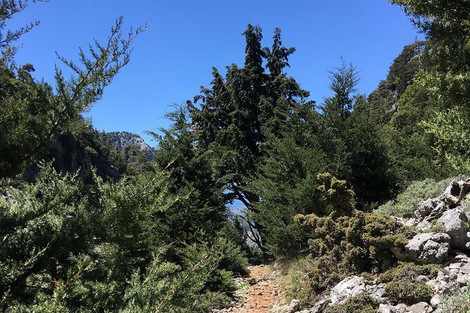 Fygou and Agia Irini Gorge Loop Half Day Hiking Tour - Who Will Love This Experience?