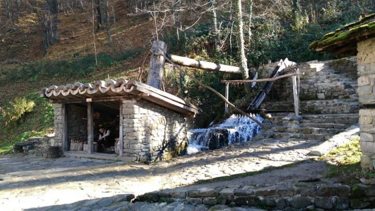 Gabrovo: Open Air Ethnographic Museum ETAR Entry Ticket - Who Should Consider This Tour?