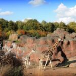 GaiaZOO Entry Ticket - Entrance & Pricing: What You Get for $31