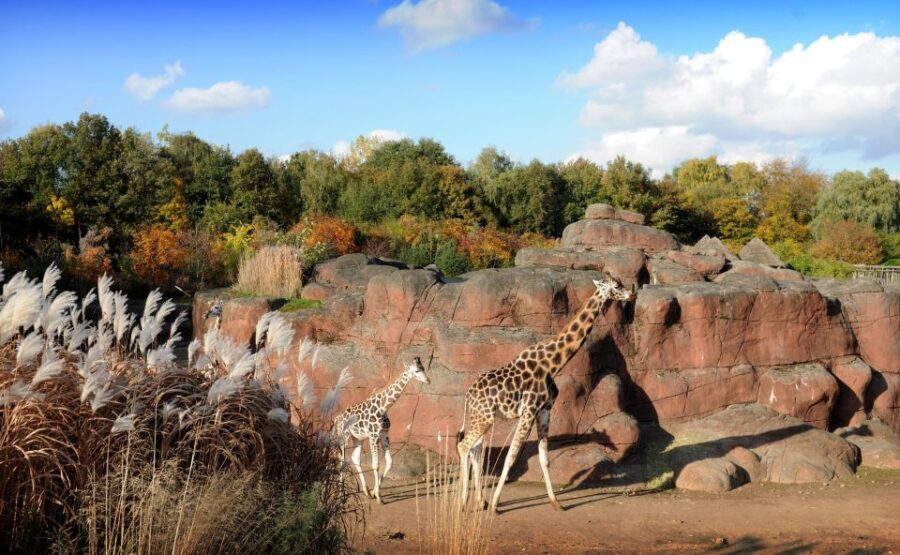 GaiaZOO Entry Ticket - Entrance & Pricing: What You Get for $31