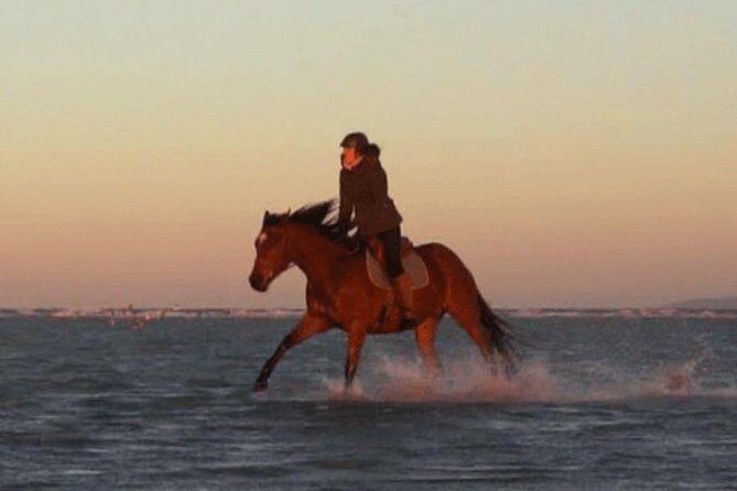 Gallop on Deauville Beach - Final Thoughts: Is It Worth It?